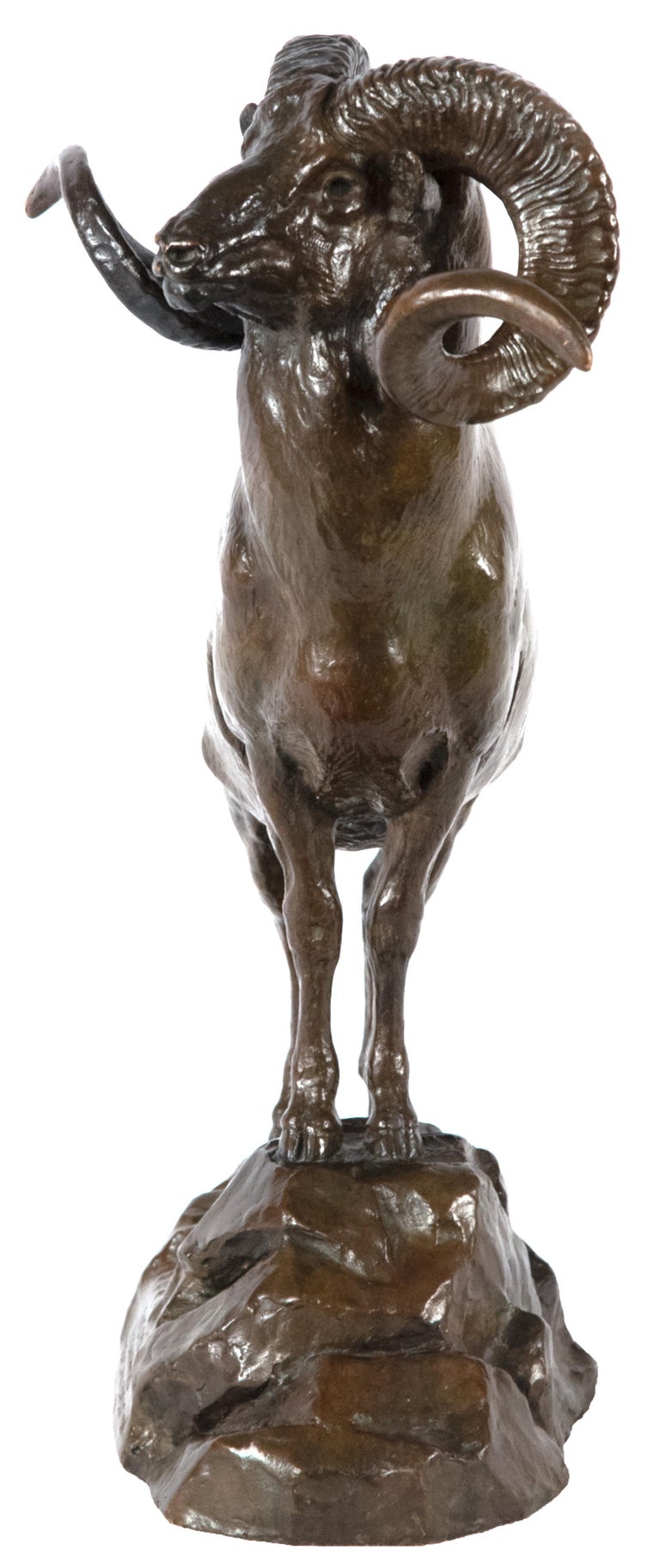 Ovis Poli by James Lippitt Clark at 1stDibs