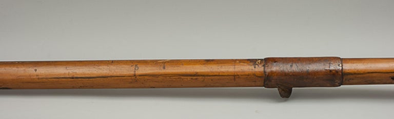 Oxford University Boat Race Rowing Oar 1862, with Photographs. Oxford ...