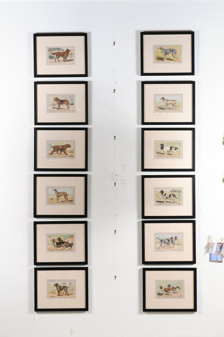 P. Mahler Custom Framed Lithographs Depicting Hunting Dogs in Outdoor ...