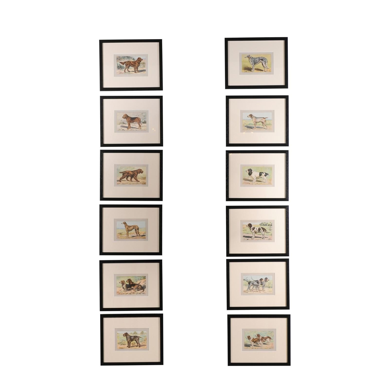 P. Mahler Custom Framed Lithographs Depicting Hunting Dogs in Outdoor ...