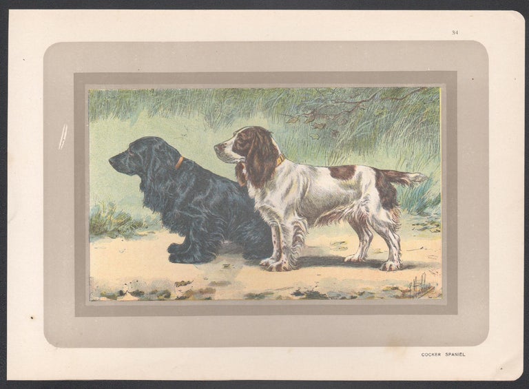 P. Mahler - Cocker Spaniel, French hound dog chromolithograph print ...