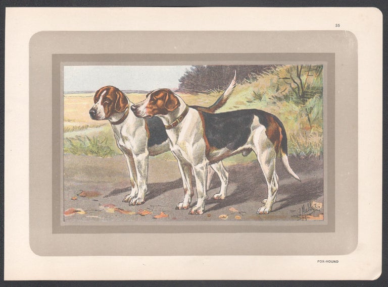 P. Mahler - Fox Hound, French hound dog chromolithograph print, 1931 ...
