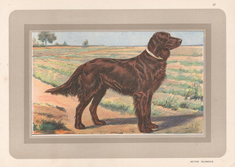P. Mahler - Irish Setter, French hound dog chromolithograph print ...