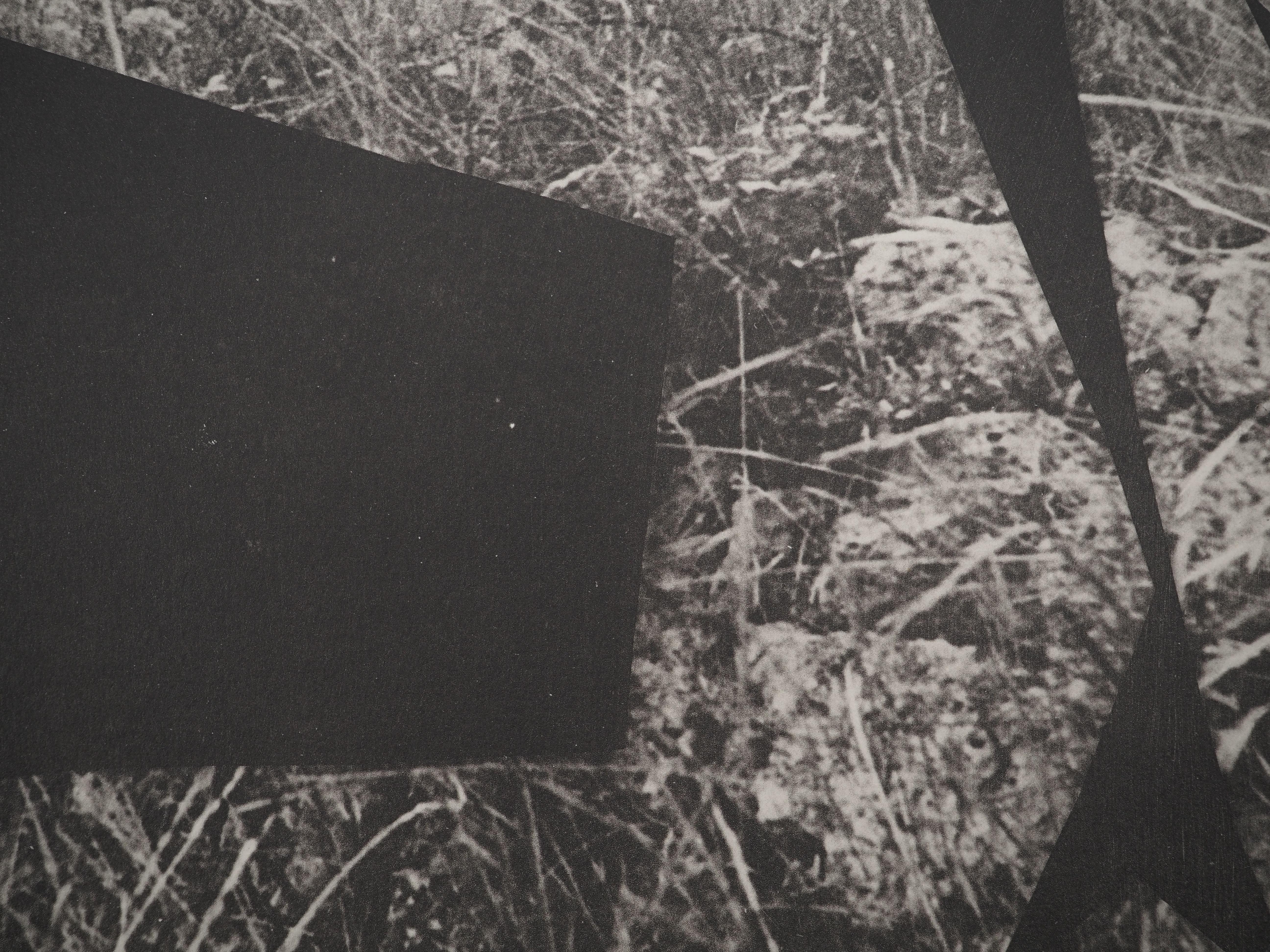 Pablo Picasso - Diurnes: Jacqueline's Tree - Original Collotype and ...