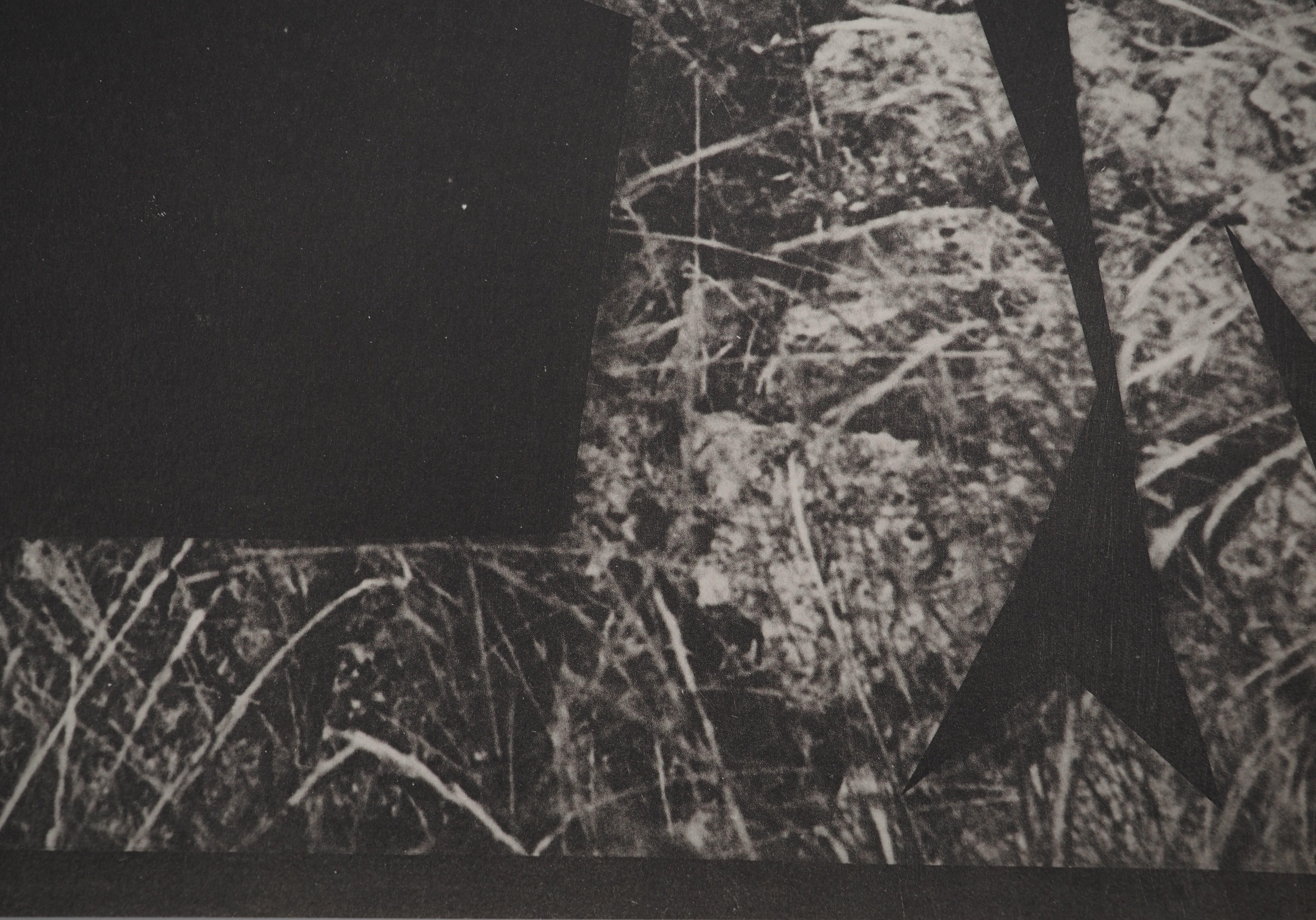 Pablo Picasso - Diurnes: Jacqueline's Tree - Original Collotype and ...