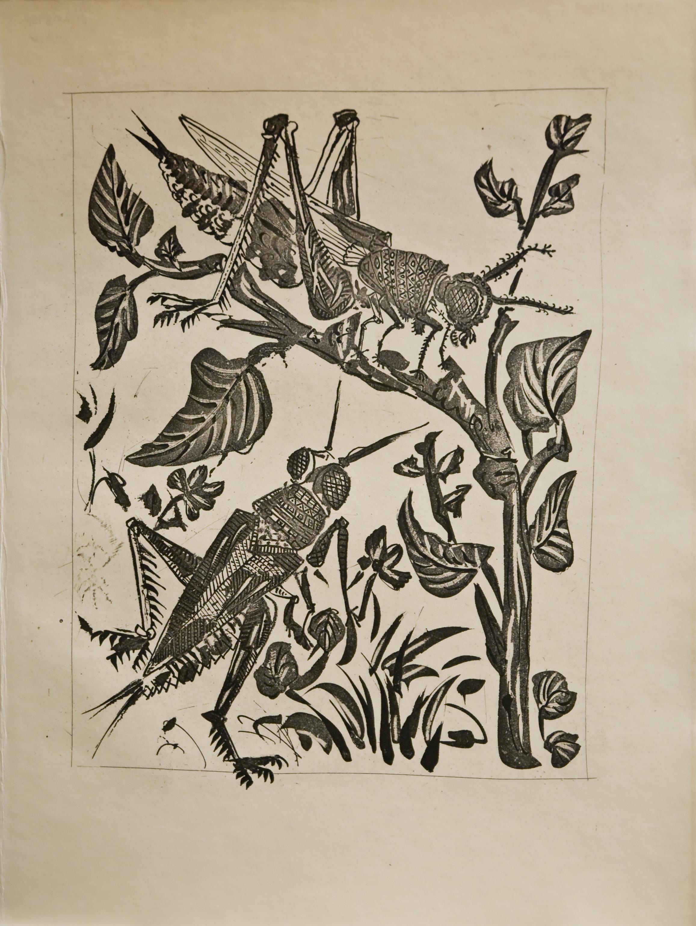 Pablo Picasso - Le Singe (The Monkey) (Bloch 339) at 1stDibs