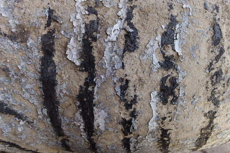 Painted Concrete Zebra Coming from a Normandy Zoo, circa 1900 For Sale ...