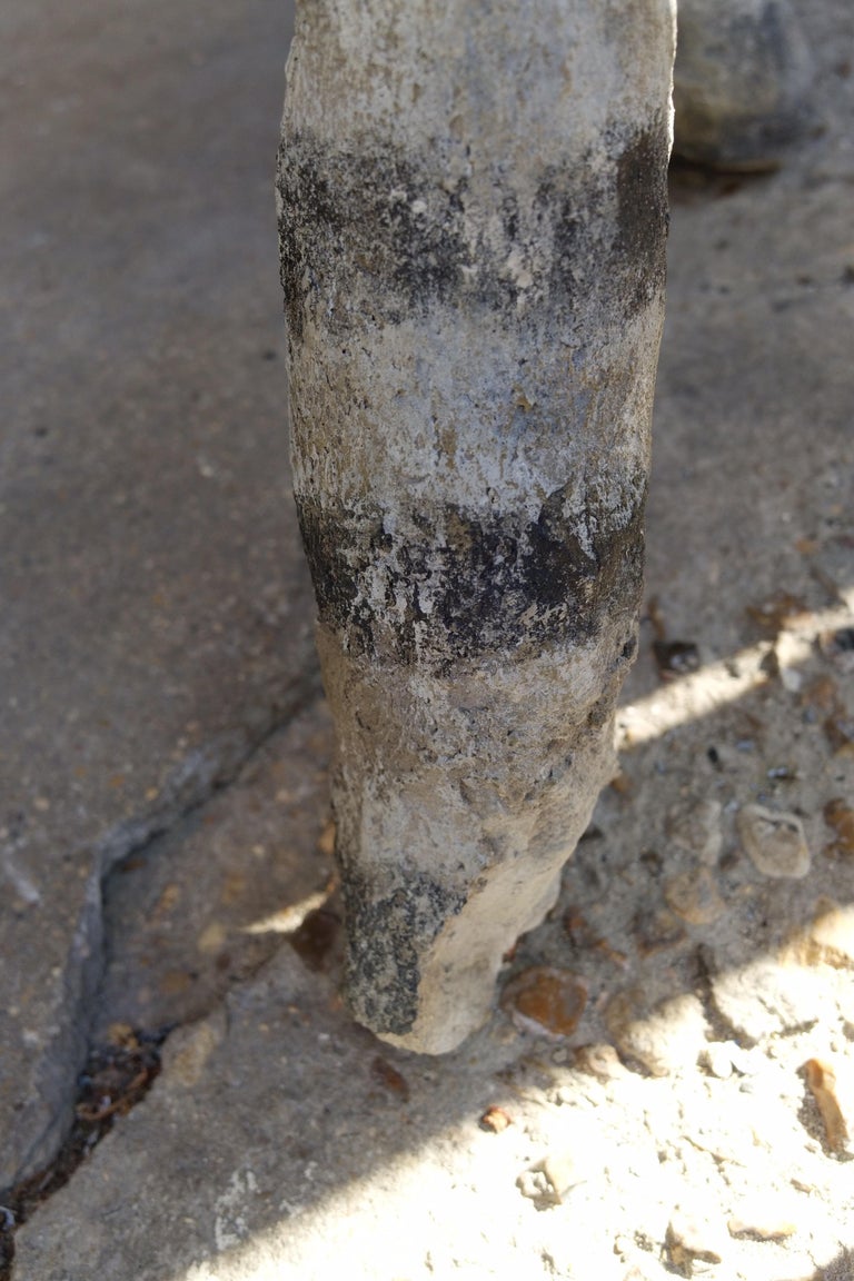 Painted Concrete Zebra Coming from a Normandy Zoo, circa 1900 For Sale ...