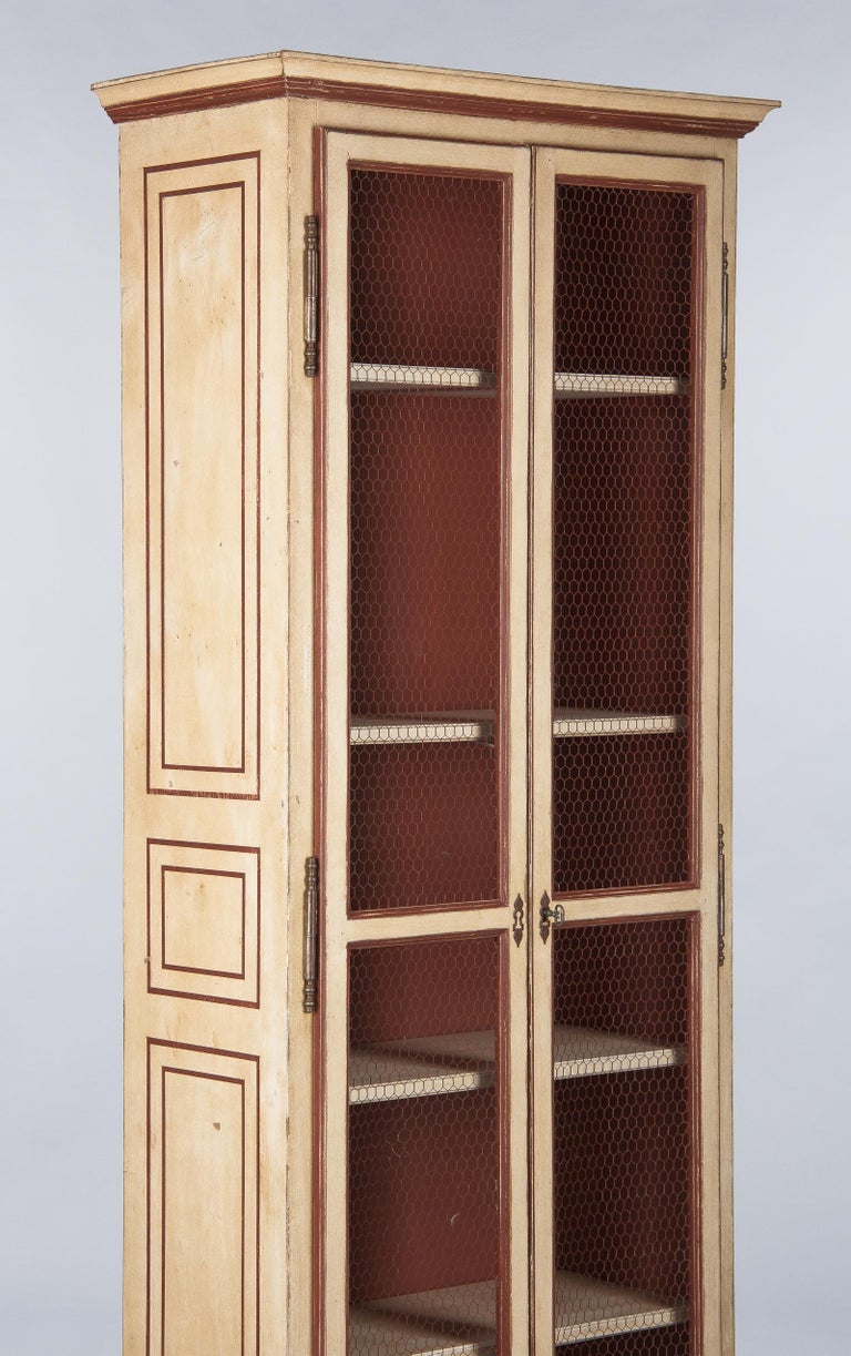 Painted Provencal Vitrine Bookcase, France Midcentury at 1stDibs