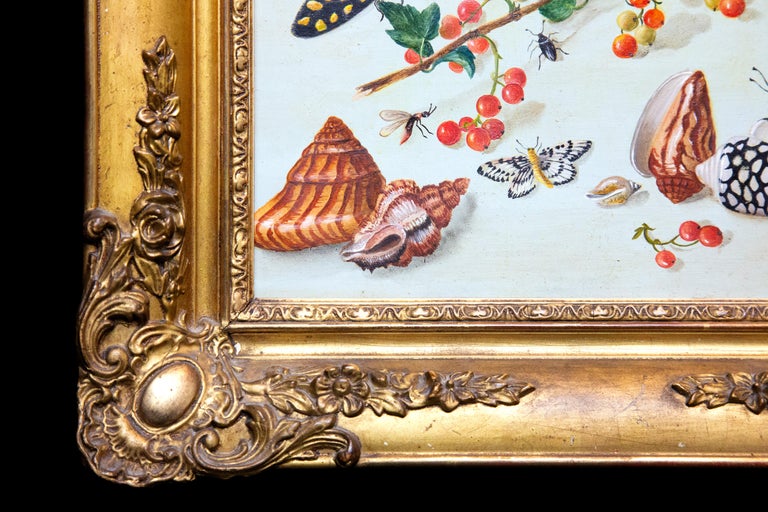 Painting of Insects and Shells at 1stDibs