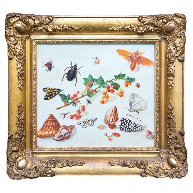 Painting of Insects and Shells at 1stDibs