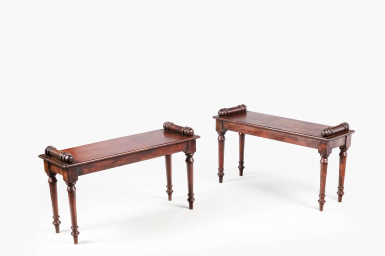 Pair 19th Century George IV Tatham Hall Benches For Sale at 1stDibs