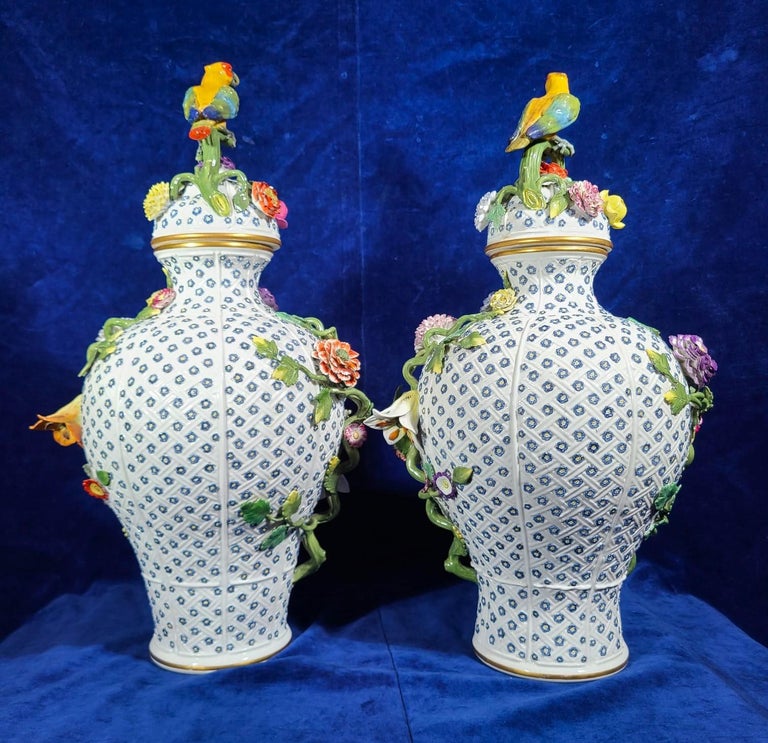 Pair 19th Century Rococo Style Meissen Porcelain Parrot and Flower ...