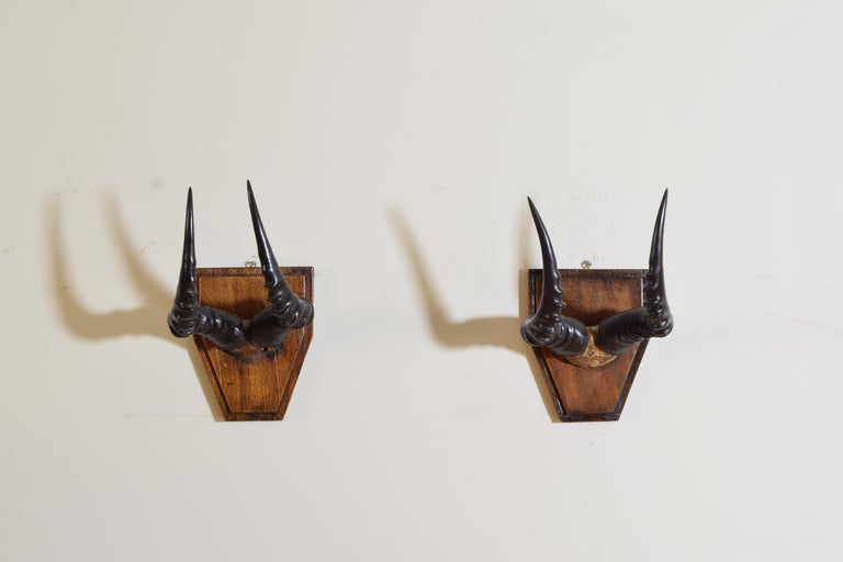 Pair African Topi Horns on Shaped Art Deco Backplates For Sale at 1stDibs