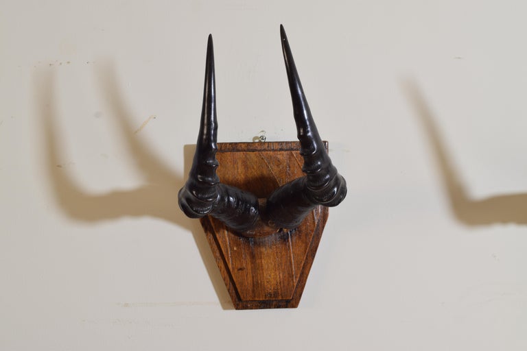 Pair African Topi Horns on Shaped Art Deco Backplates For Sale at 1stDibs