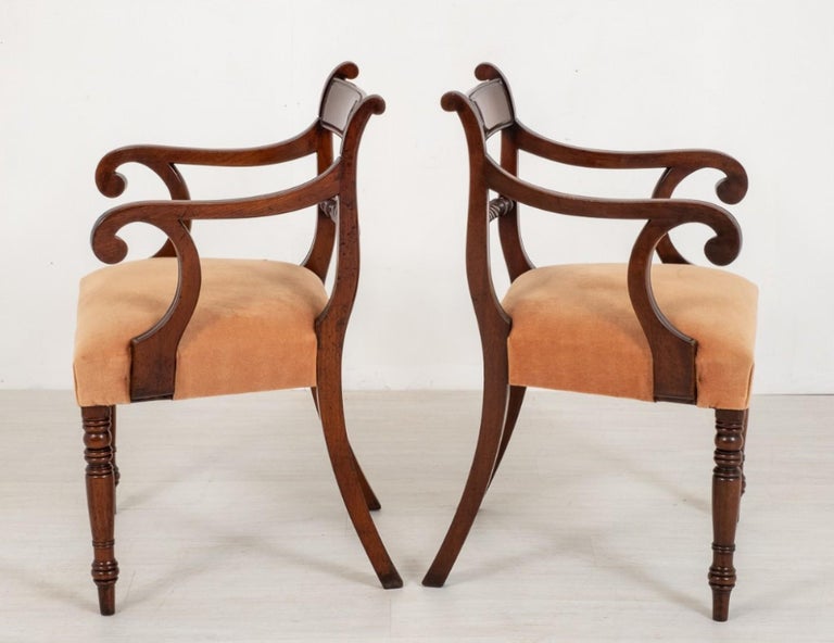 Pair Antique Regency Arm Chairs Mahogany 19th Century For Sale at 1stDibs