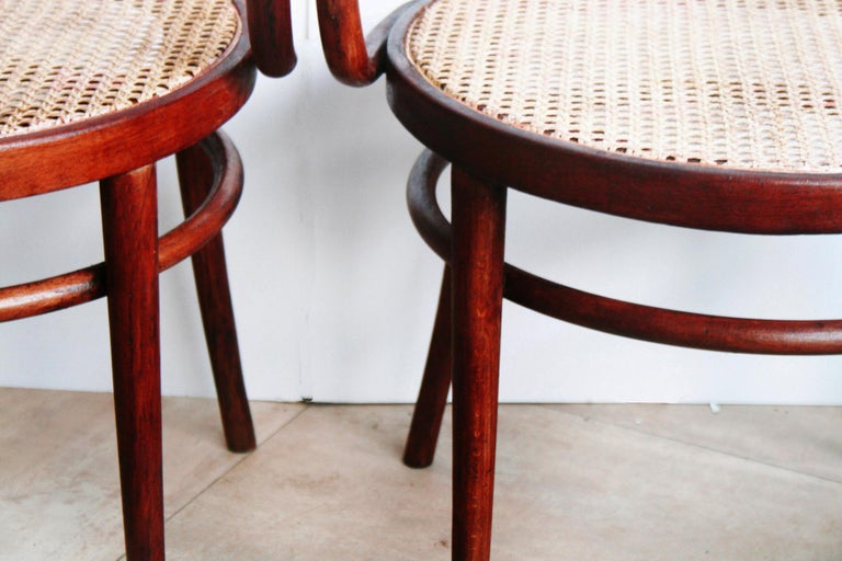 Pair of Cane and Bentwood Chairs after Thonet 209, 1950s For Sale at ...