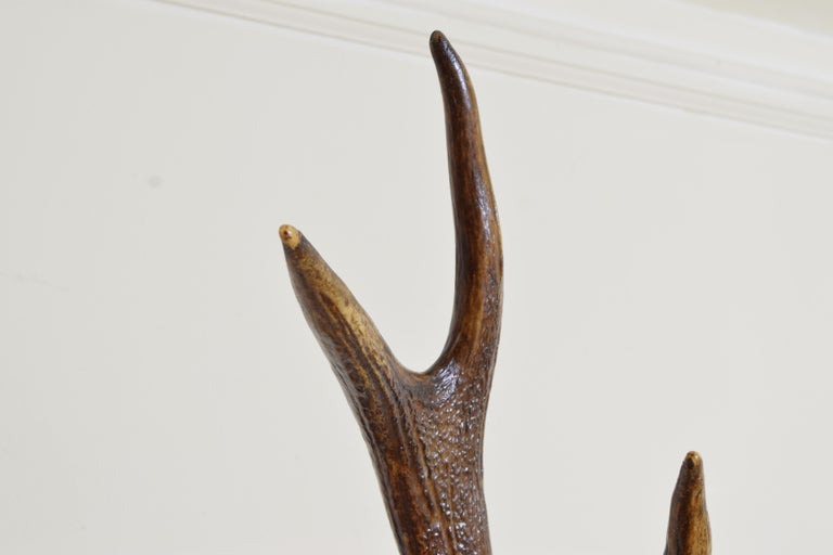 Pair Continental Antler Mounts on Shaped Backplates For Sale at 1stDibs