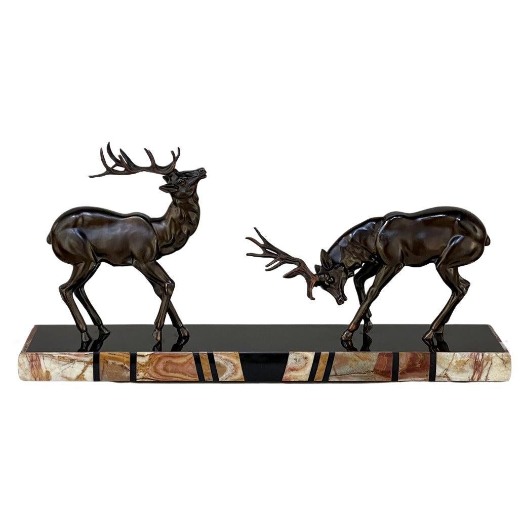 Original Plesiosaurs Flipper in Acrylic Box from Cretaceous Period For ...