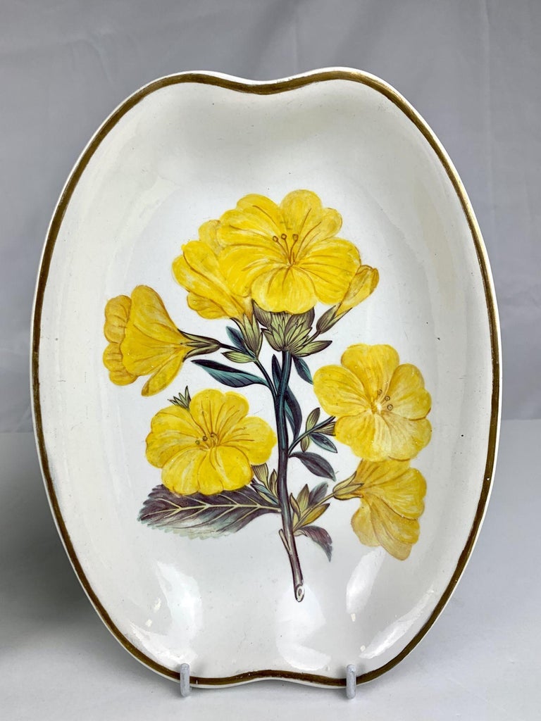 Pair English Botanical Dishes Made by Brameld Pottery Circa 1820 at 1stDibs