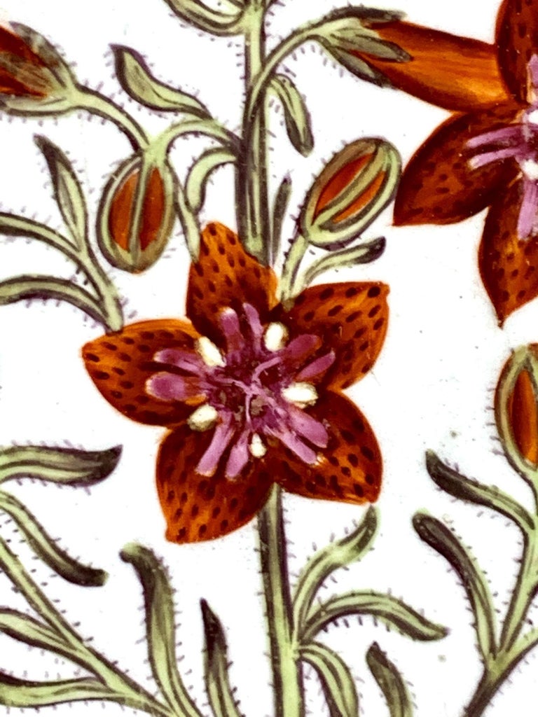 Pair English Botanical Dishes Made by Brameld Pottery Circa 1820 at 1stDibs