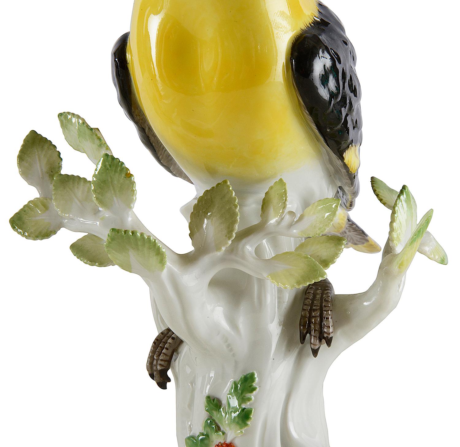 Pair Late 19th Century Meissen Porcelain Oriel Birds For Sale at 1stDibs