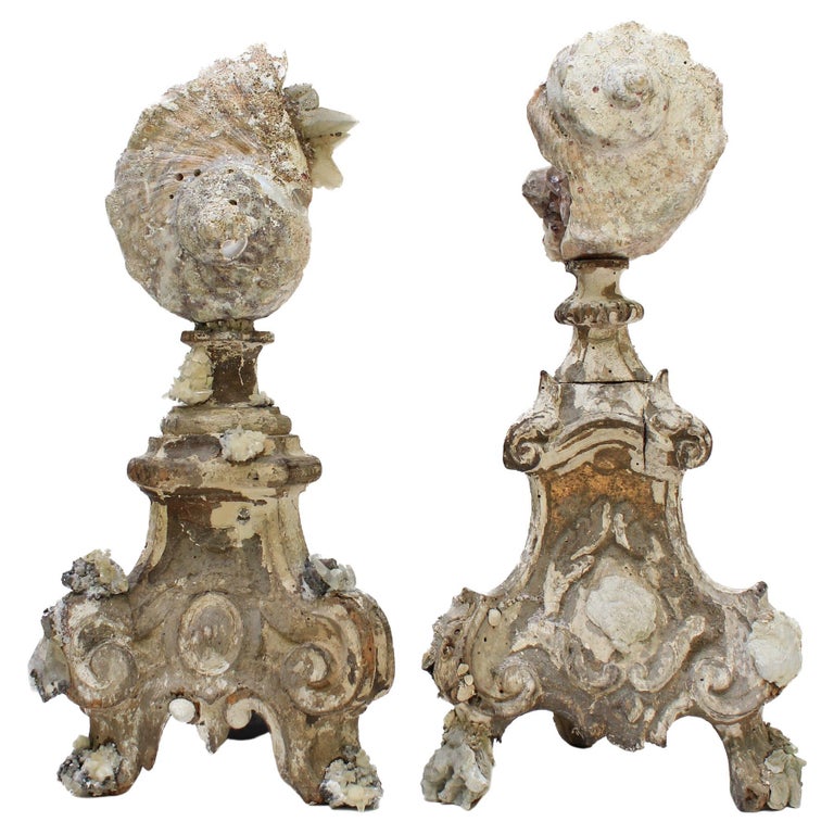 Pair of 17th Century 'Florence Fragments' with Fossil Shells and ...