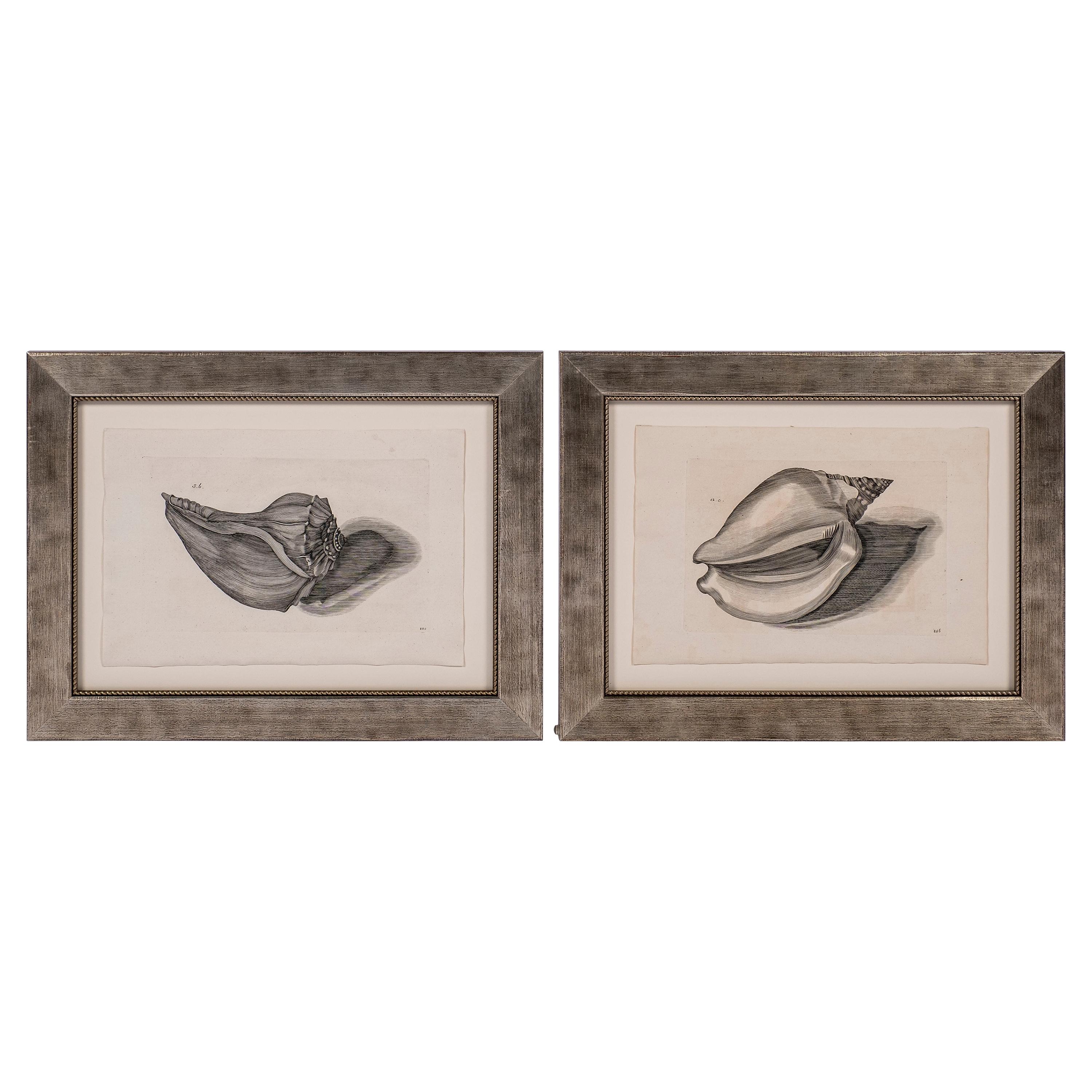18th Century Maritime Copper Engravings at 1stDibs