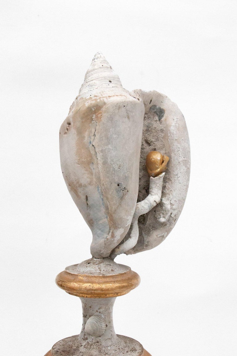 Pair of 18th Century Italian Vases Decorated with Shells and Baroque ...