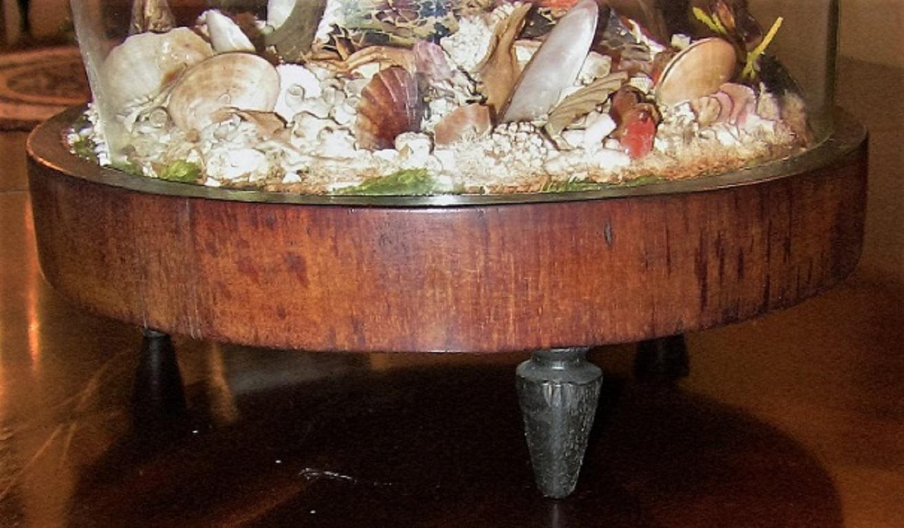 Pair of 19th Century Shell Art Floral Bouquets under Glass Domes For ...