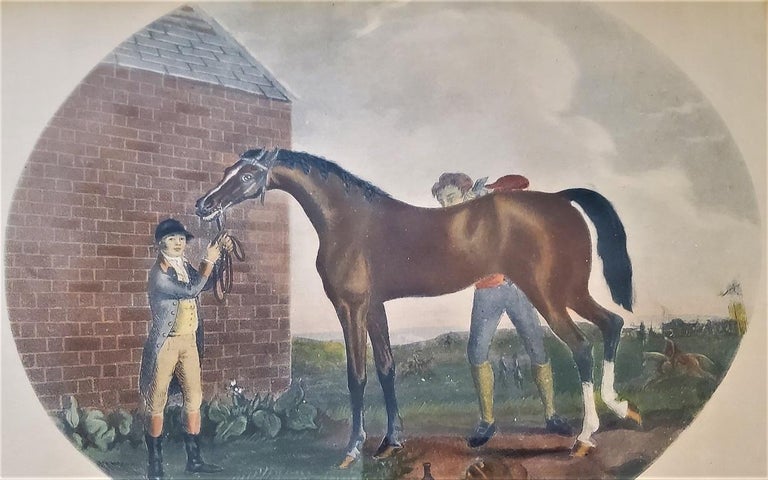 Pair of 19th Century Thomas Gooch Horse Aquatints at 1stDibs