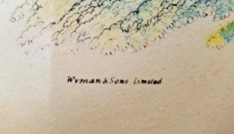 Pair of 19th Century Bird Chromolithograph Prints by Wyman at 1stDibs ...