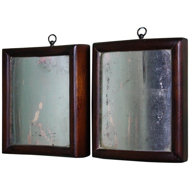 Pair of 19th Century Concave and Convex Distortion Scientific Mirrors ...