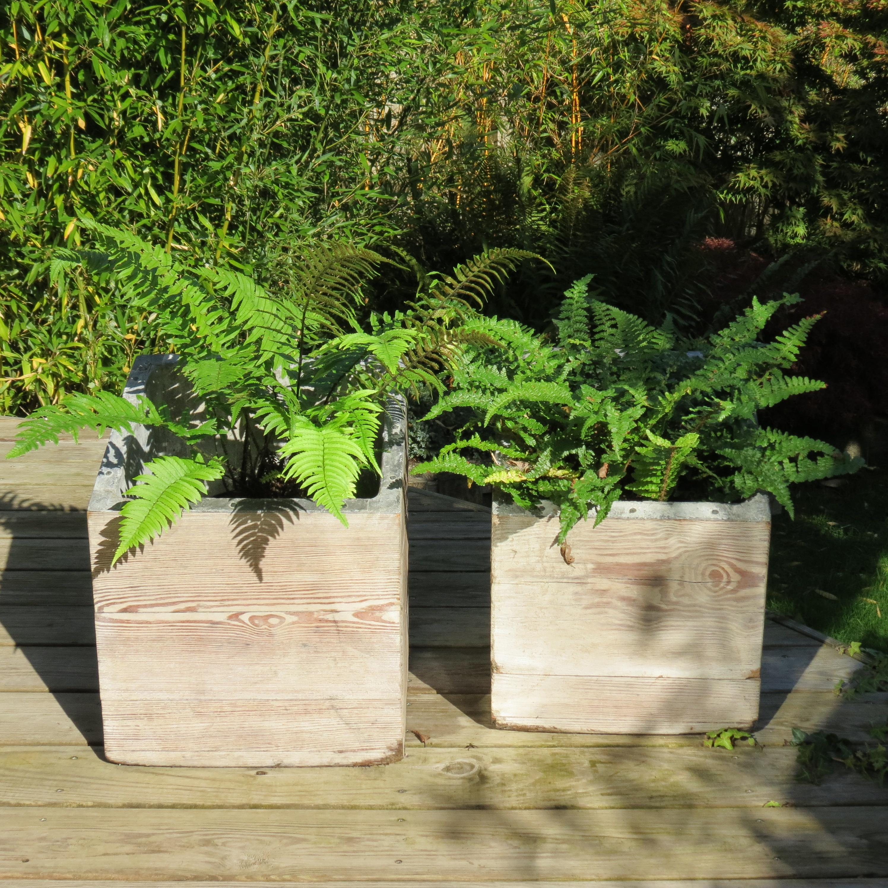 Pair of 19th Century Country Pine and Lead Lined Indoor or Outdoor ...