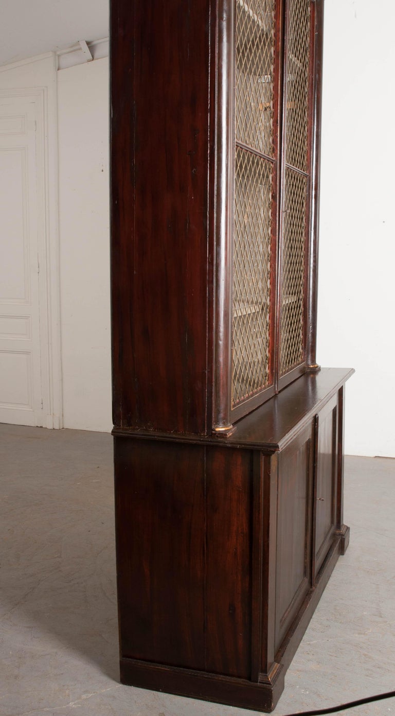 Pair of 19th Century English Regency Library Bookcases For Sale at 1stdibs
