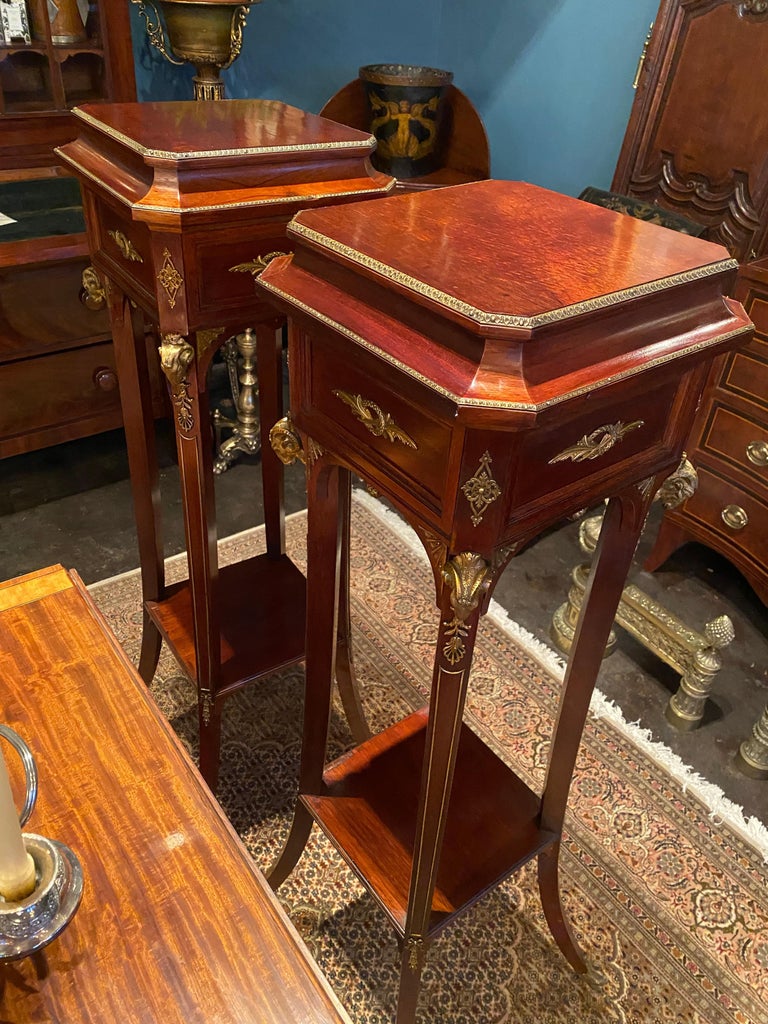 Pair of 19th Century French Napoleon III Pedestals/ Plant Stands For ...