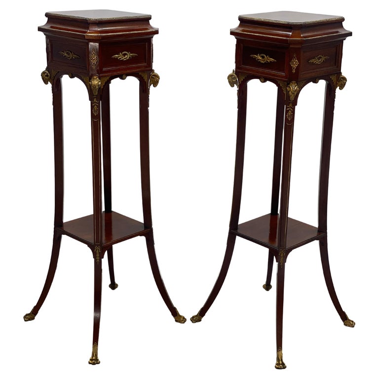 Pair of 19th Century French Napoleon III Pedestals/ Plant Stands For ...