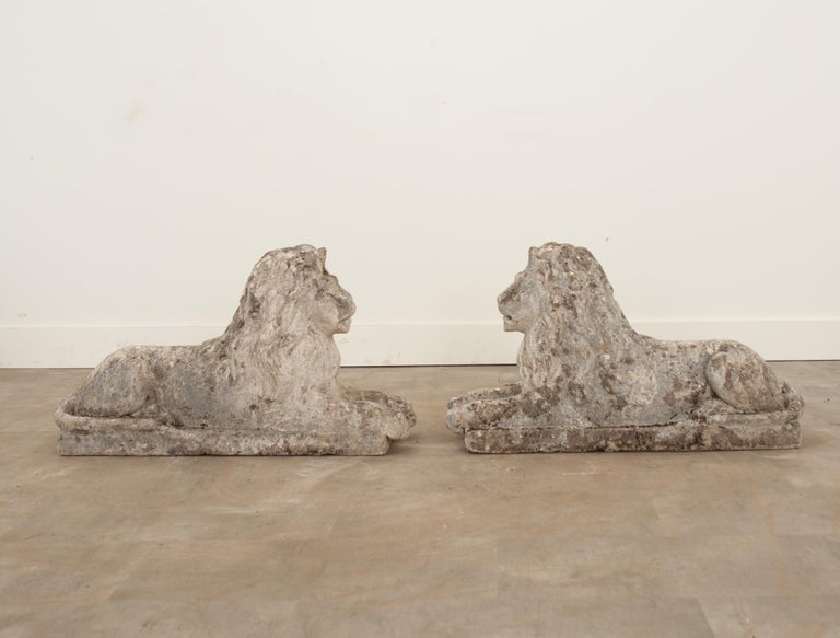 Pair of 19th Century Stone Lions For Sale at 1stDibs
