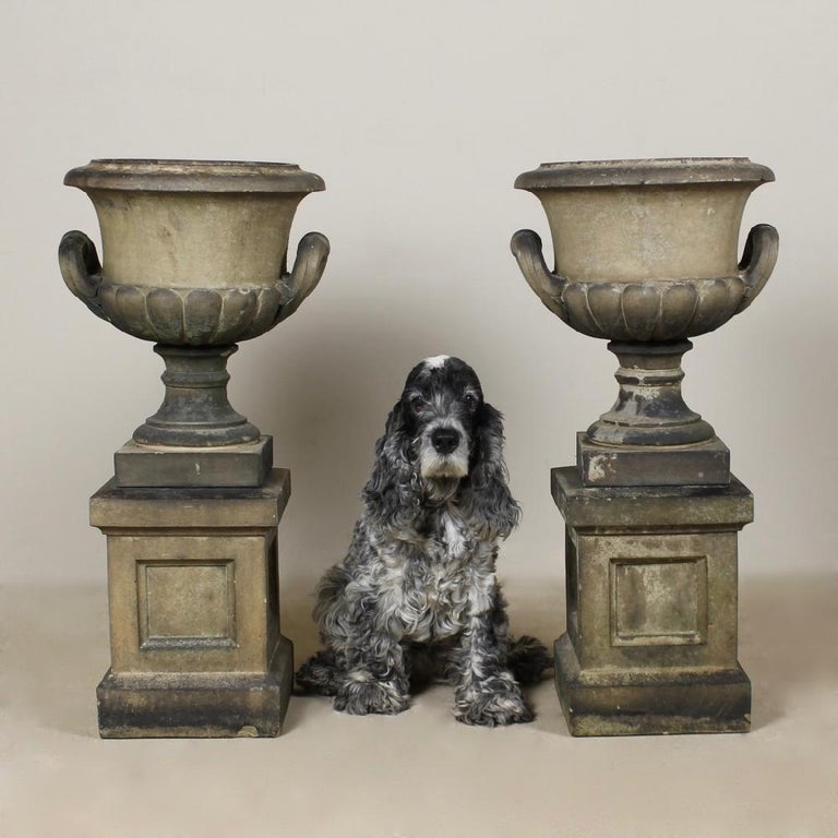 Pair of 19th Century Terracotta Pulham 'Inverness Urns' on Pedestals at ...