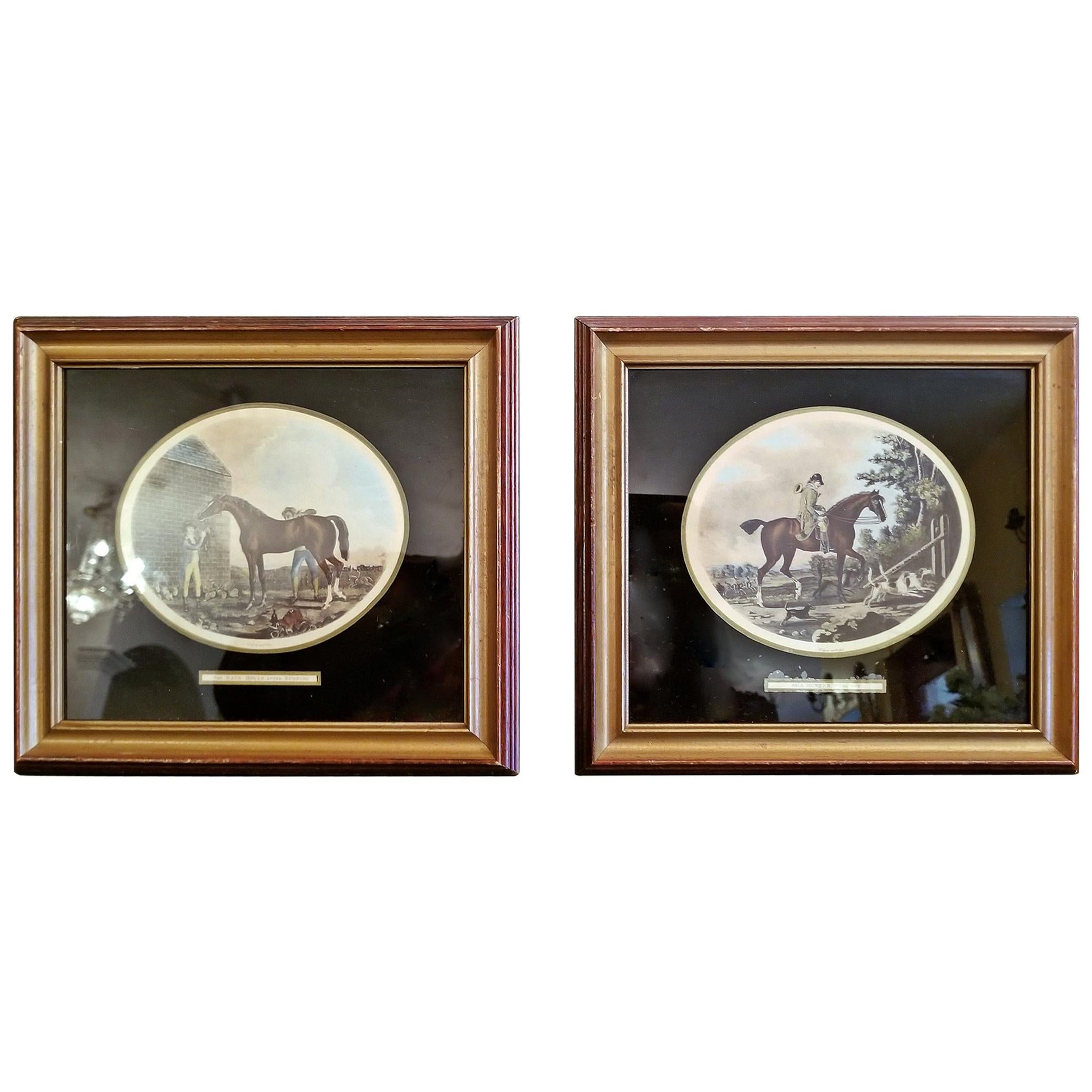 Pair of 19th Century Thomas Gooch Horse Aquatints at 1stDibs
