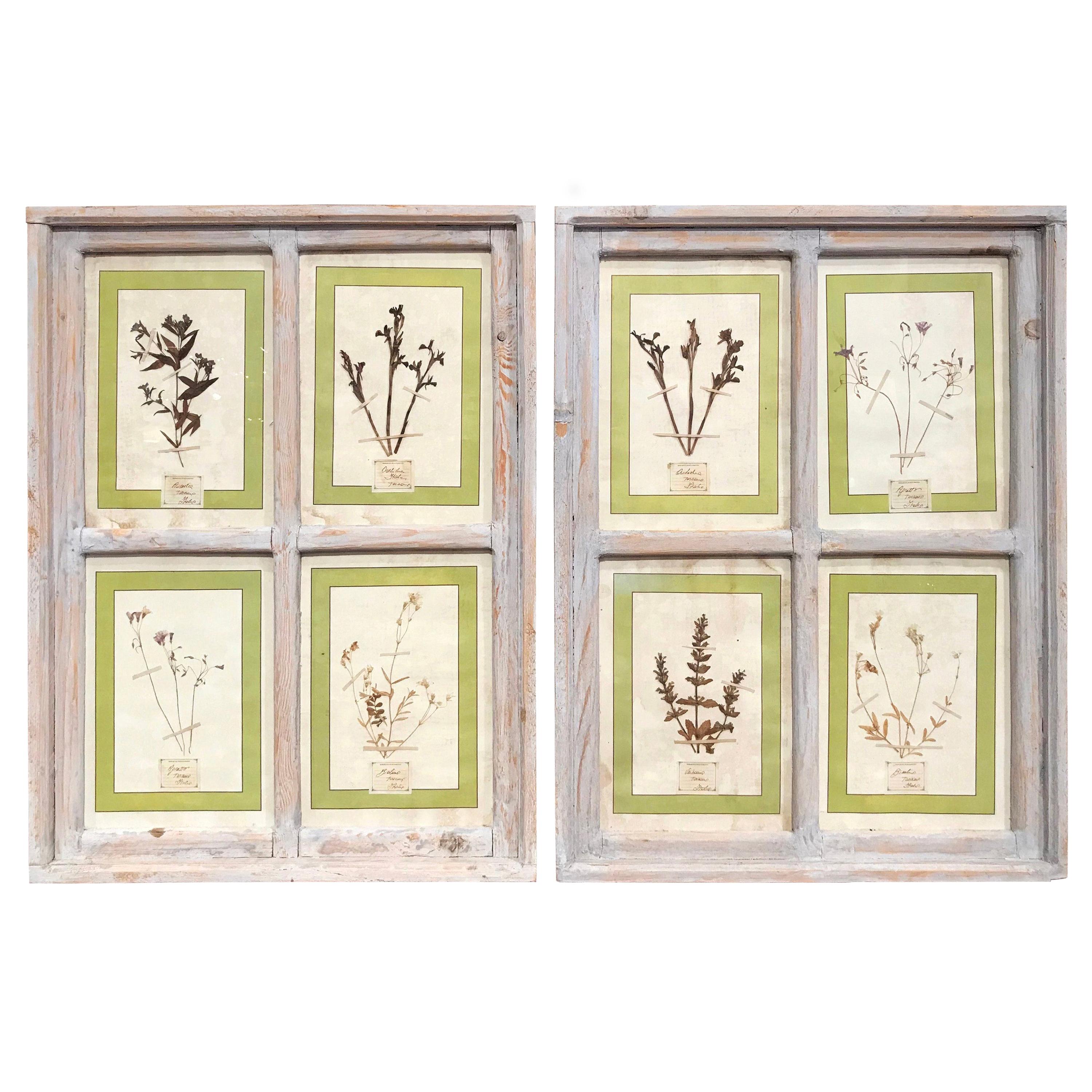 Set of Three Swedish Mid-Century Herbariums Botanicals in Dark Bamboo ...