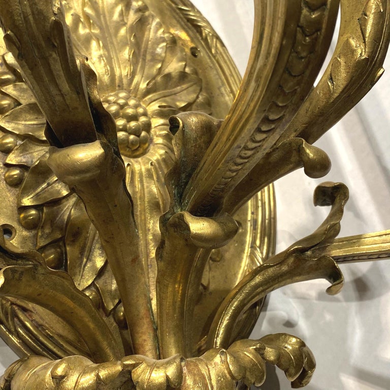 Pair of Adam Style Five-Arm Gilt Bronze Wall Light Sconces For Sale at ...