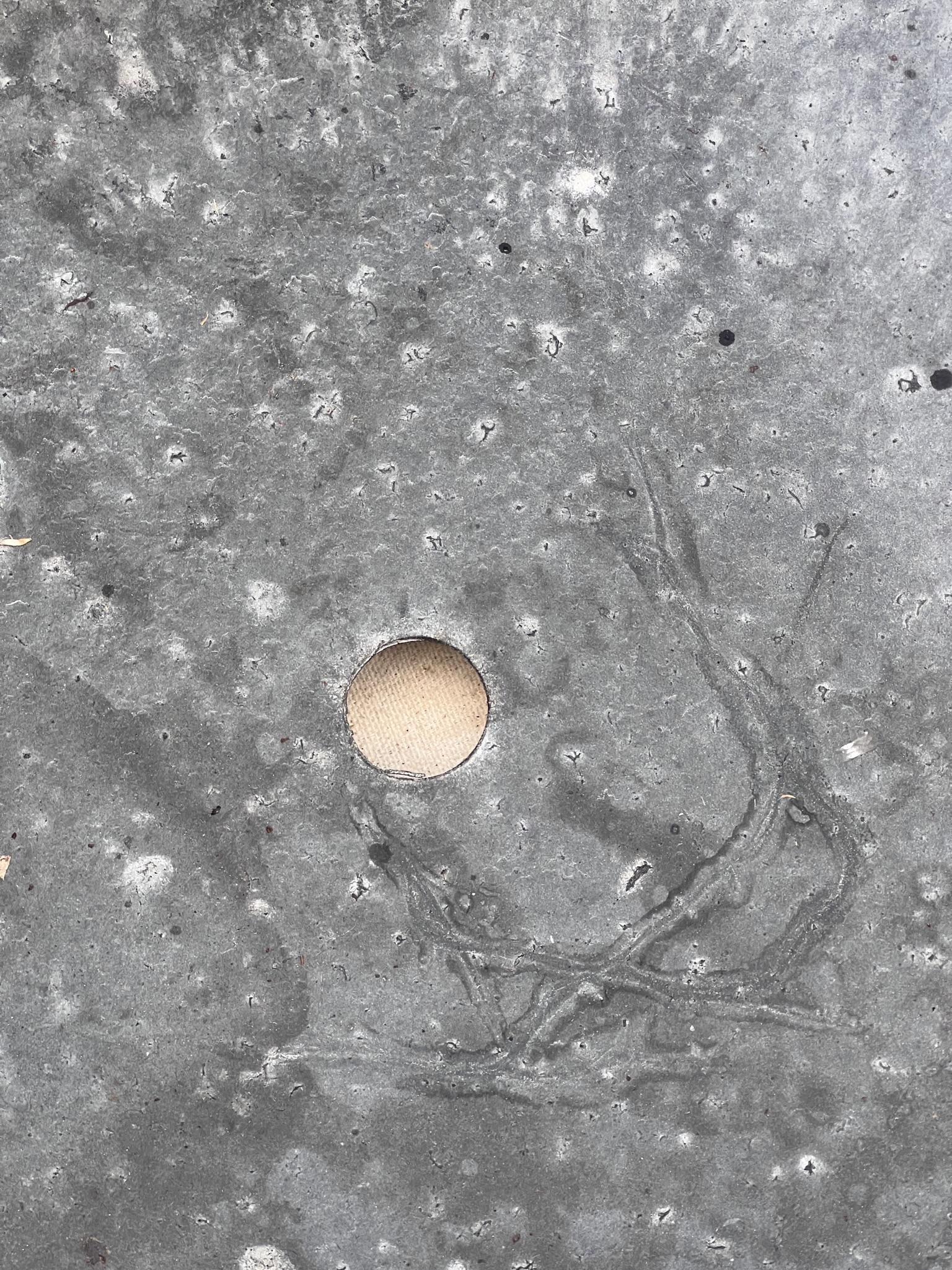 Pair of American Neoclassical Style Grey Metal Planters with Garland at ...