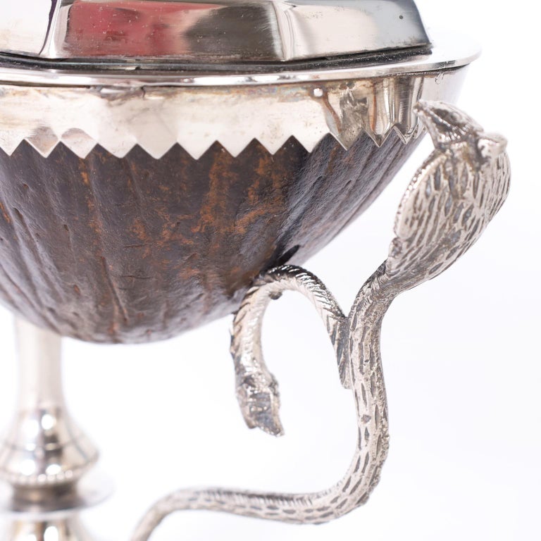 Pair of Antique Anglo Indian Coco de Mer Tea Caddies at 1stDibs