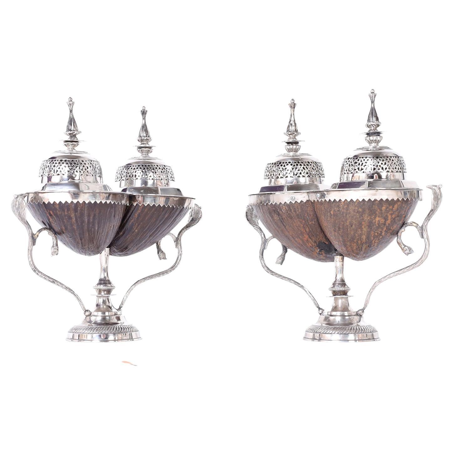 Double Formed Coconut, ‘Coco De Mer’ at 1stDibs