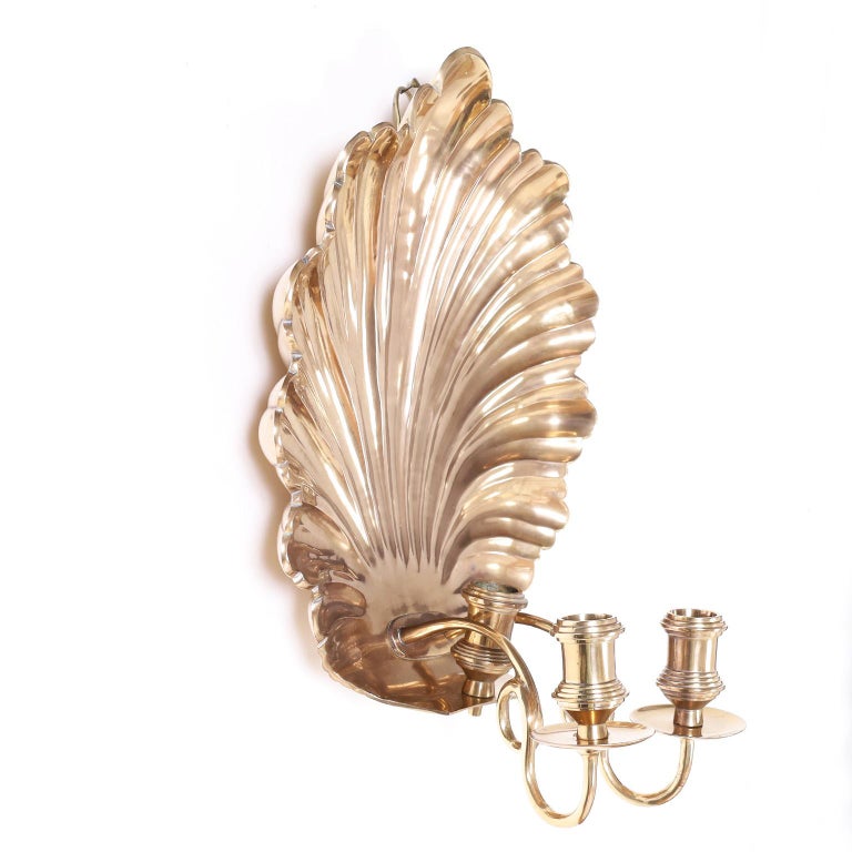 Pair of Antique Cast Brass Seashell Wall Sconces at 1stDibs | seashell ...