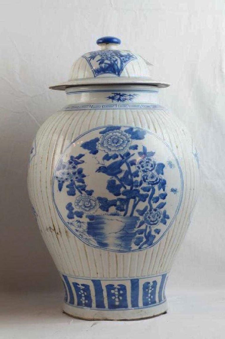 Pair of Antique Chinese Blue and White Ginger Jars at 1stDibs