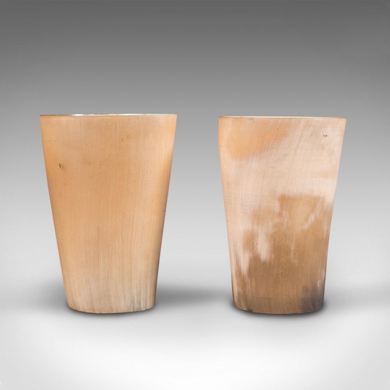Pair of Antique Scrimshaw Cups, Welsh, Ram's Horn, Carved Tumbler ...