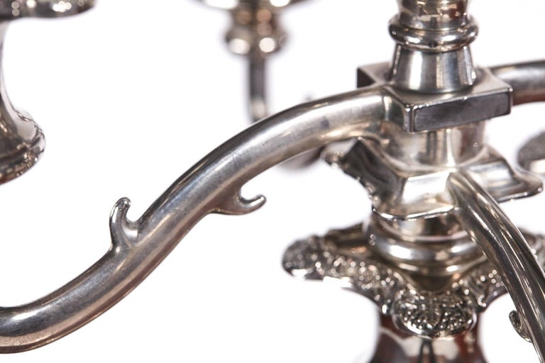 Pair of Antique Silver Plated Five-Branch Candelabras at 1stDibs