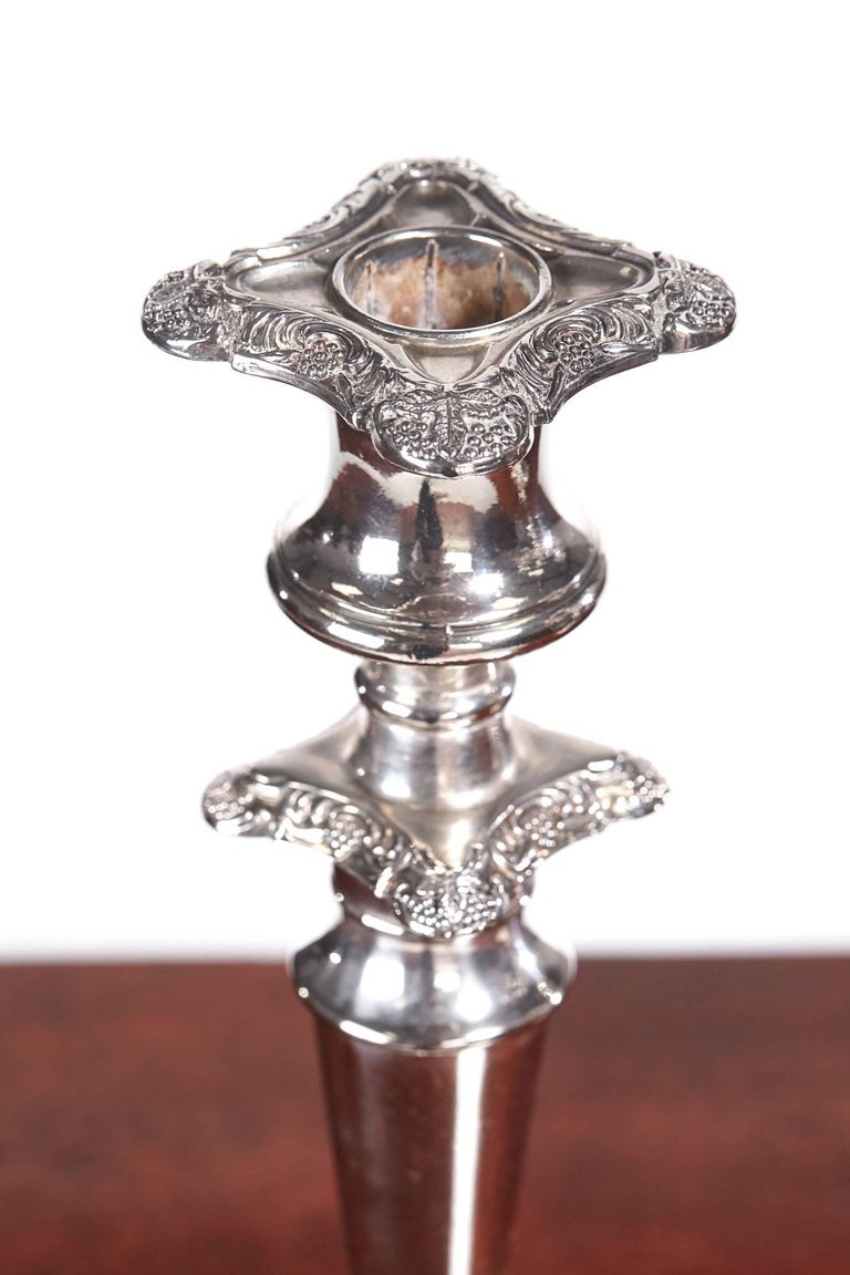 Pair of Antique Silver Plated Five-Branch Candelabras at 1stDibs